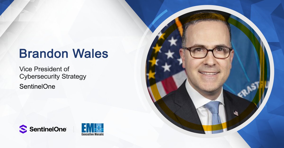 Brandon Wales Named VP of Cybersecurity Strategy at SentinelOne